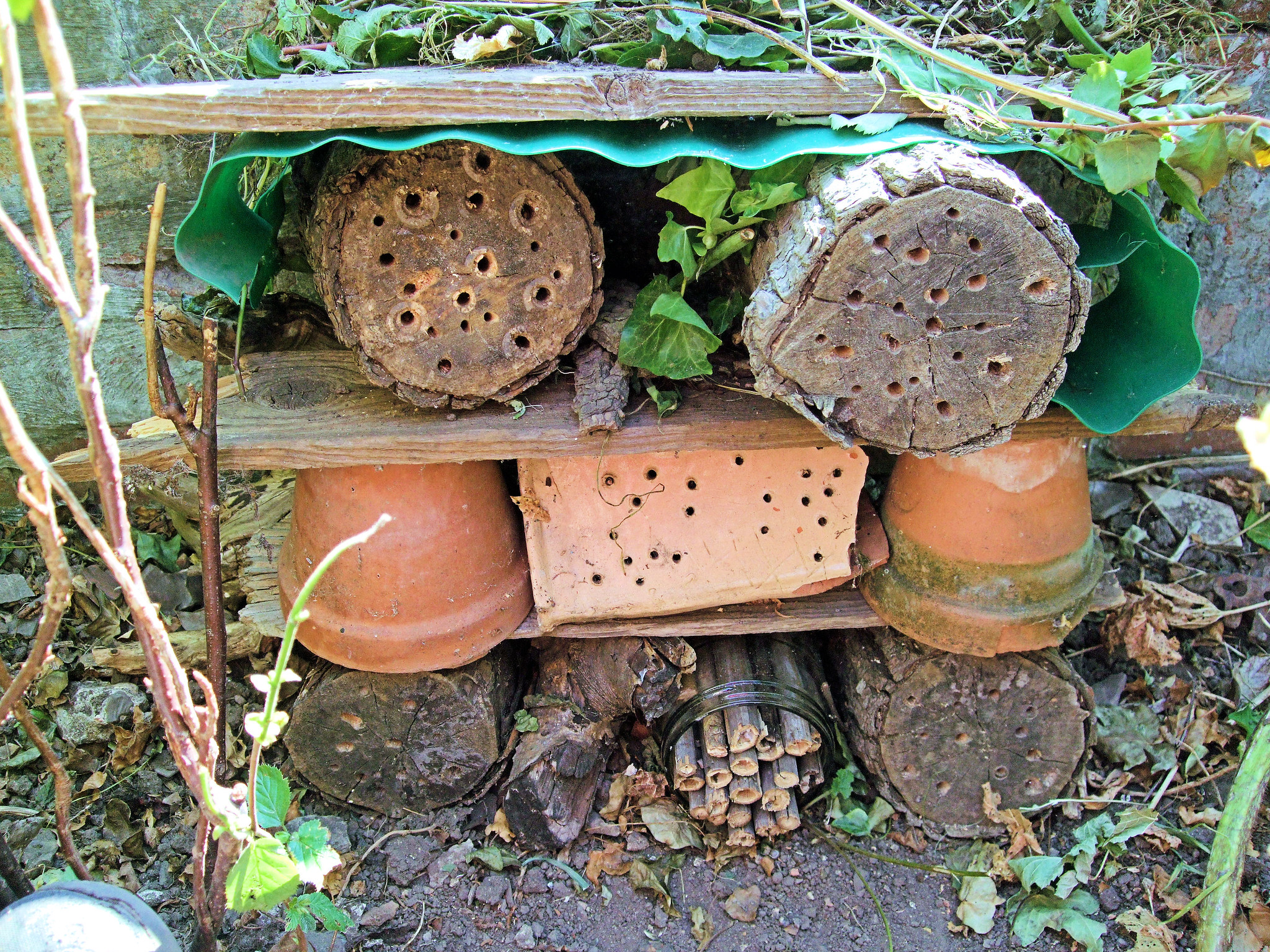 How to make a mini bug hotel - Explore Fairfields and Whitehouse ...
