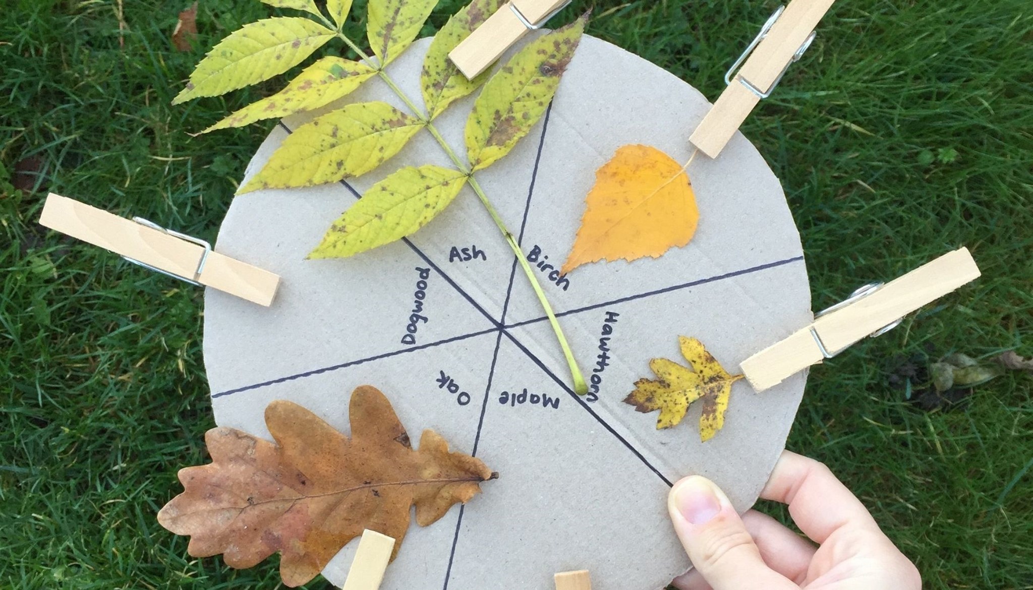Autumn leaf challenge - Explore Fairfields and Whitehouse, Milton Keynes