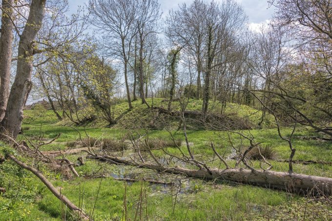 Shenley Wood and Shenley Toot - Explore Fairfields and Whitehouse
